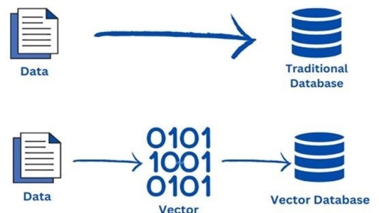 A Comparison between Vector and Traditional SQL Databases | WONGCW Official Site